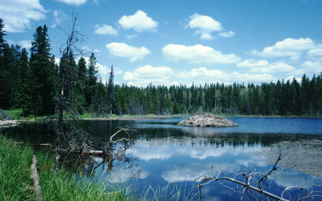 Ten Mile Lake | Go Camping BC