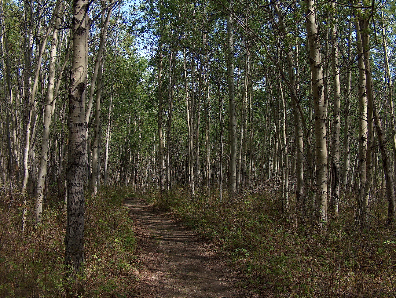 Charlie Lake | Go Camping BC